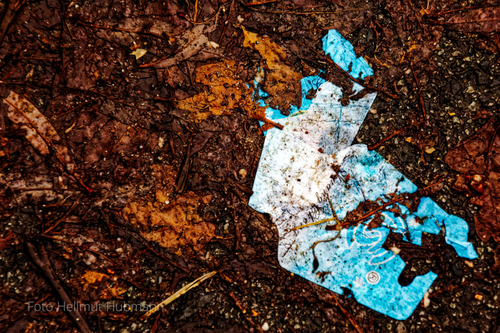 IM WANDEL Foto & Bild | spezial, wald, natur Bilder auf fotocommunity