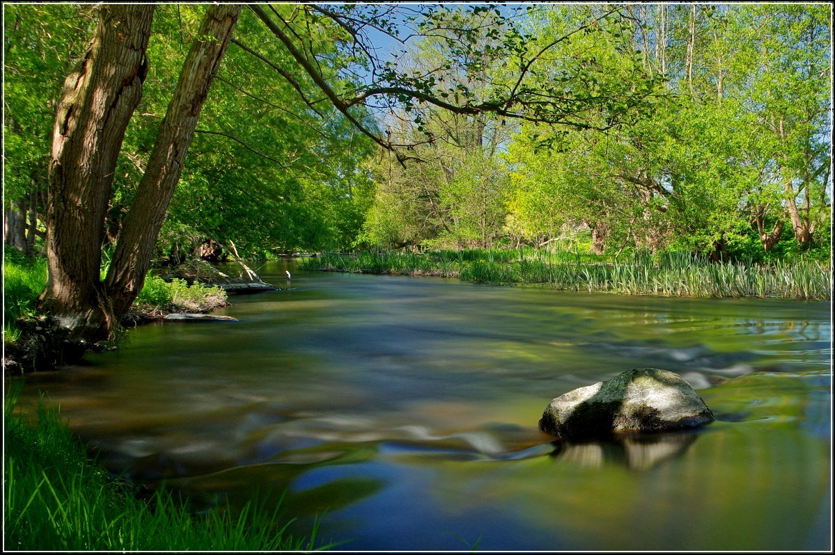 im Warnowtal Foto & Bild | landschaft, bach, fluss & see, flüsse und kanäle Bilder auf fotocommunity