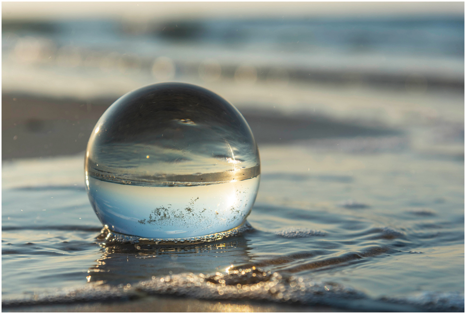 im Wasser Foto & Bild | world, natur, europa Bilder auf fotocommunity