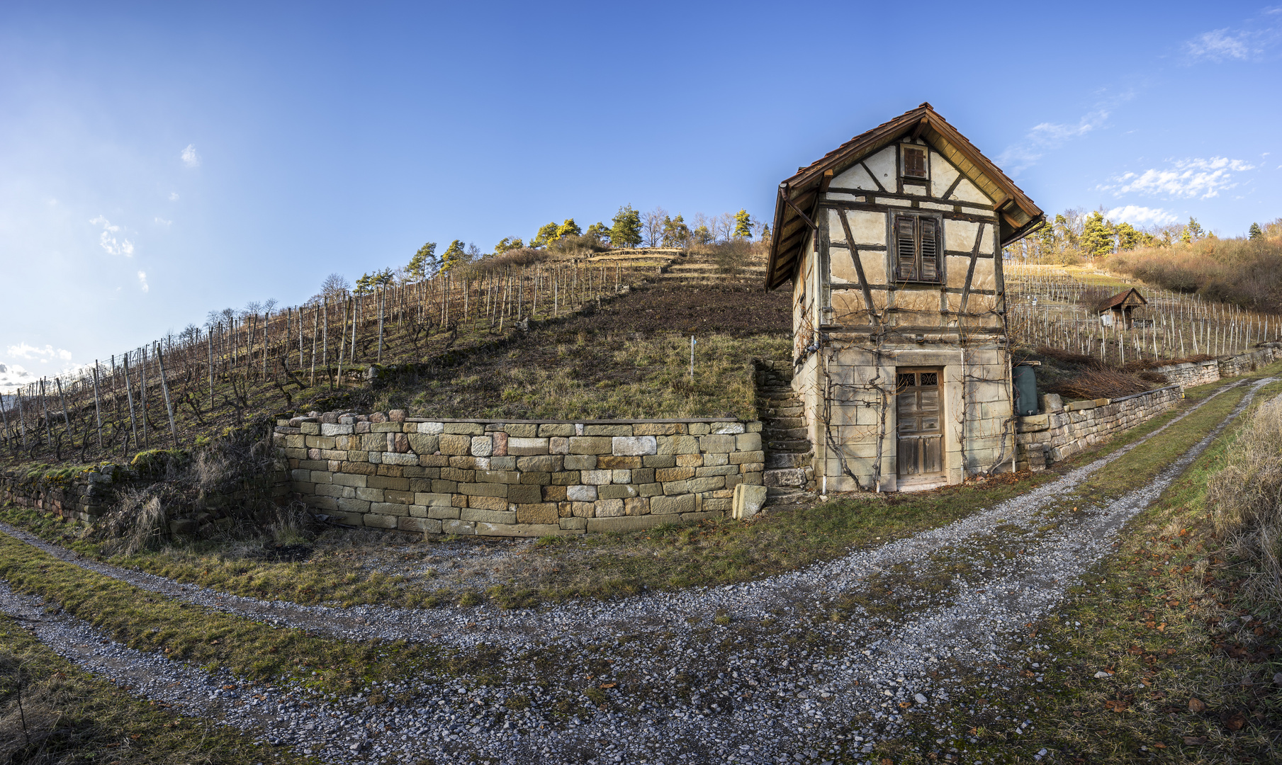 Im Wengert Foto & Bild | winter, weg, panorama Bilder auf fotocommunity