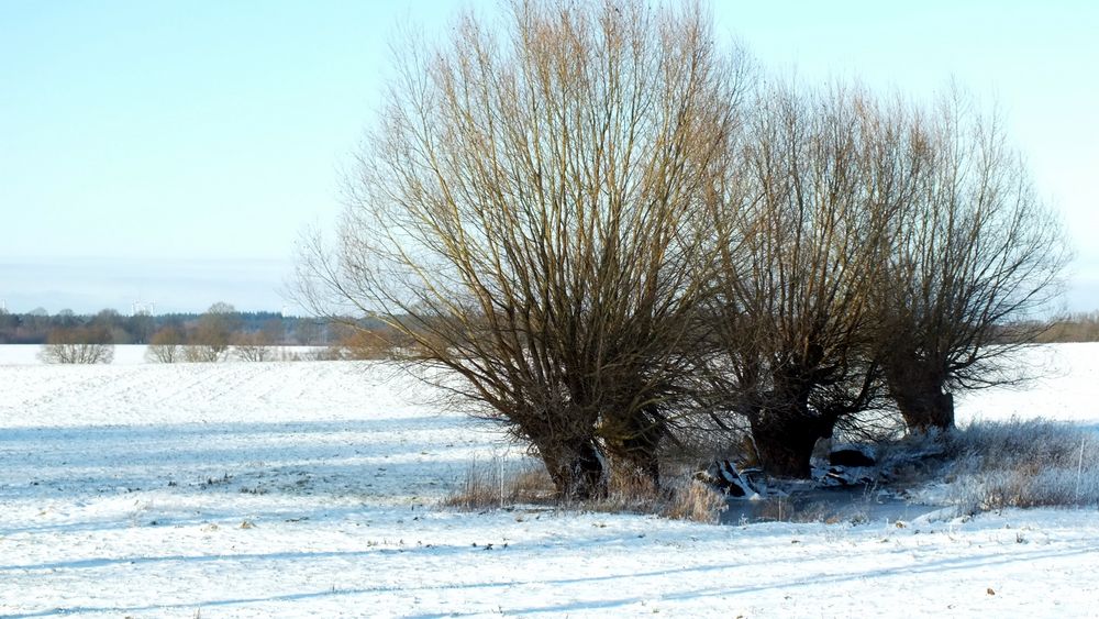 Im Winter Foto & Bild | landschaft, jahreszeiten, winter Bilder auf fotocommunity