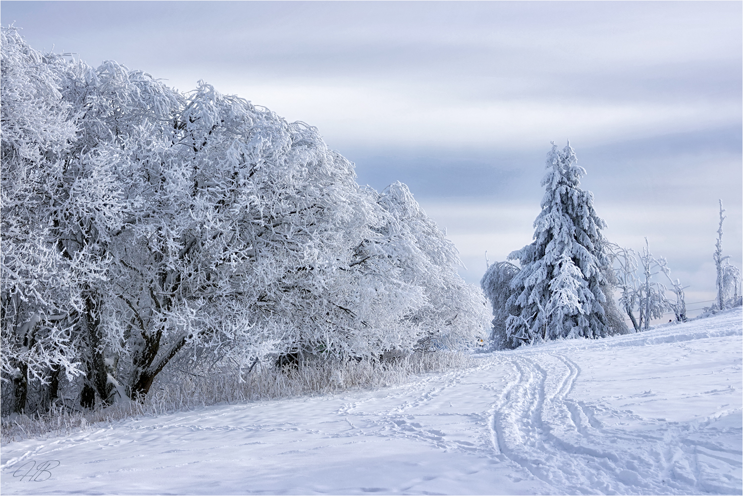 Im Winterwunderland Erzgebirge Foto & Bild | world, bäume, winter Bilder auf fotocommunity