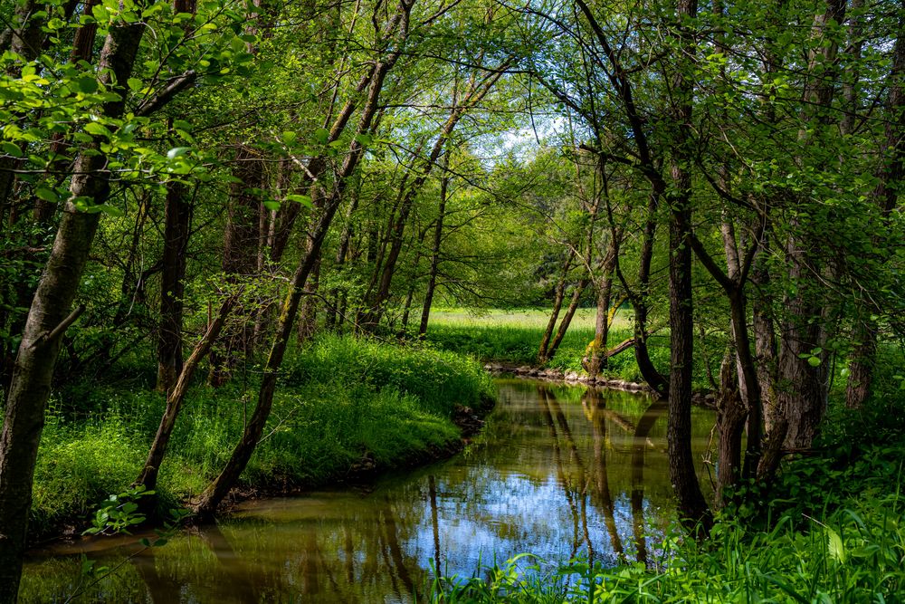 Im wunderschönen Monat Mai Foto & Bild | landschaft, jahreszeiten ...
