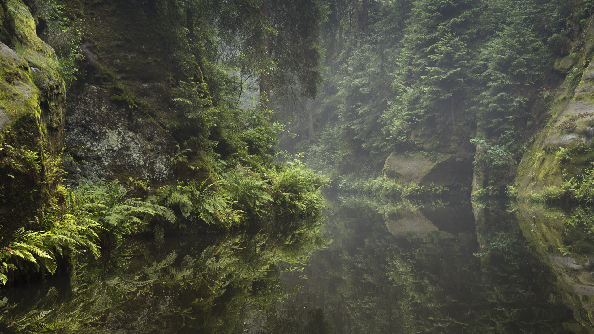 Im Zauber der Klamm Foto & Bild | world, deutschland, sächsische ... Im Zauber der Klamm Foto & Bild | world, deutschland, sächsische ...