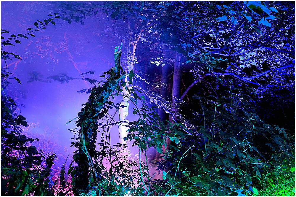 Im Zauberwald Foto & Bild | mystische orte, specials, lightpainting ... Im Zauberwald Foto & Bild | mystische orte, specials, lightpainting ...