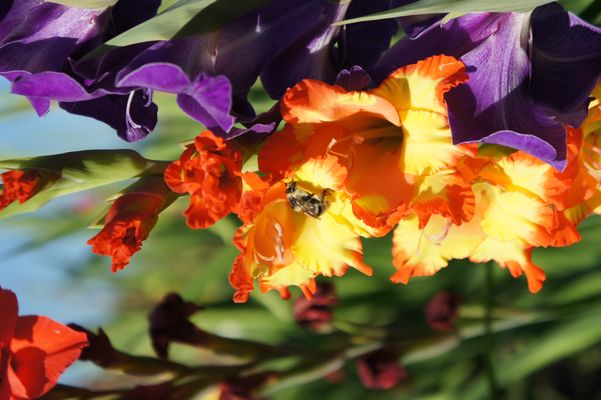 Simone Hahn - Fotos & Bilder - Fotografin aus München, Deutschland ...