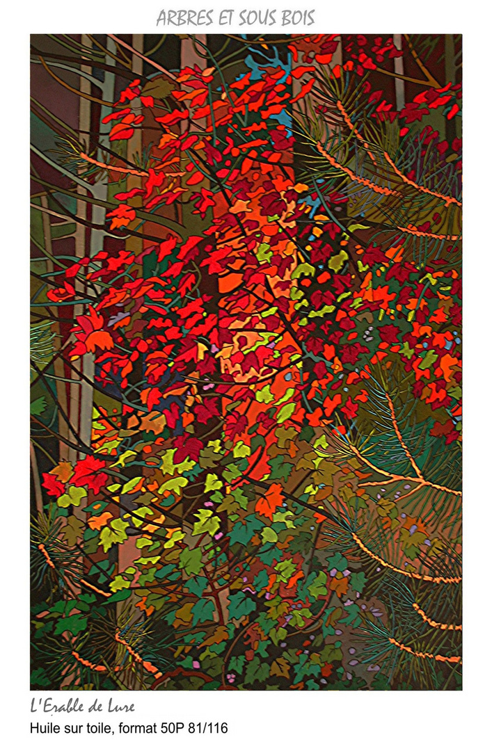 IMAGES PARALLELES L'Erable de Lure 'huile sur toile) photo et image ...