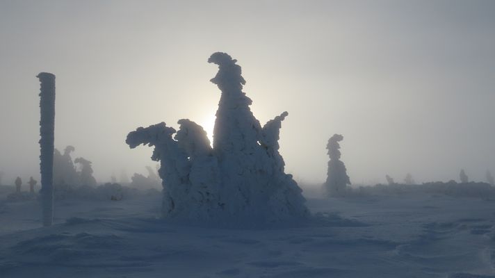 Cottenau - Fotos & Bilder - Fotograf aus Kulmbach, Deutschland ...