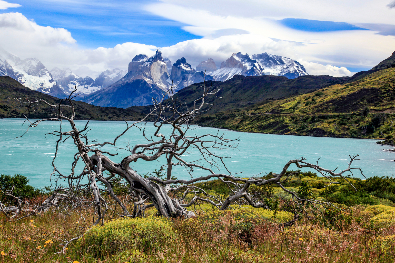 IMG_1478 Lago Pehoe Foto & Bild | south america, landschaft, chile ...