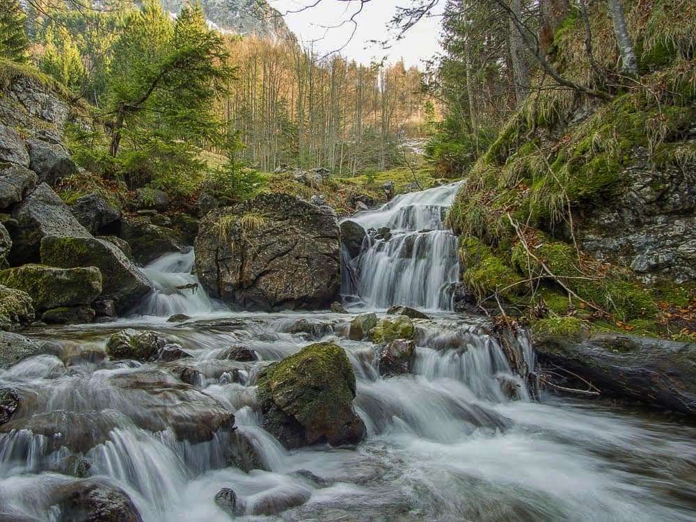 IMG_20191115_101454_712 Foto & Bild | landschaft, bach, fluss & see ...