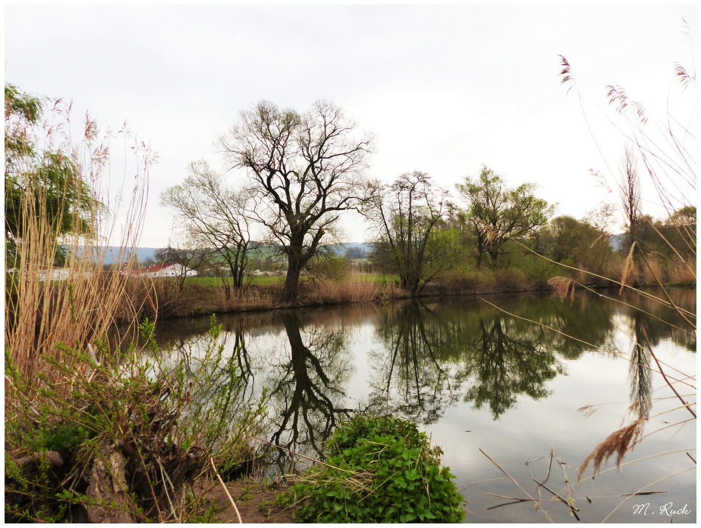 Immer am Fluss entlang , Foto & Bild | bäume, frühling, natur Bilder ...