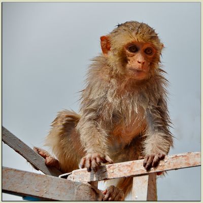 Myanmar Bilder & Fotos