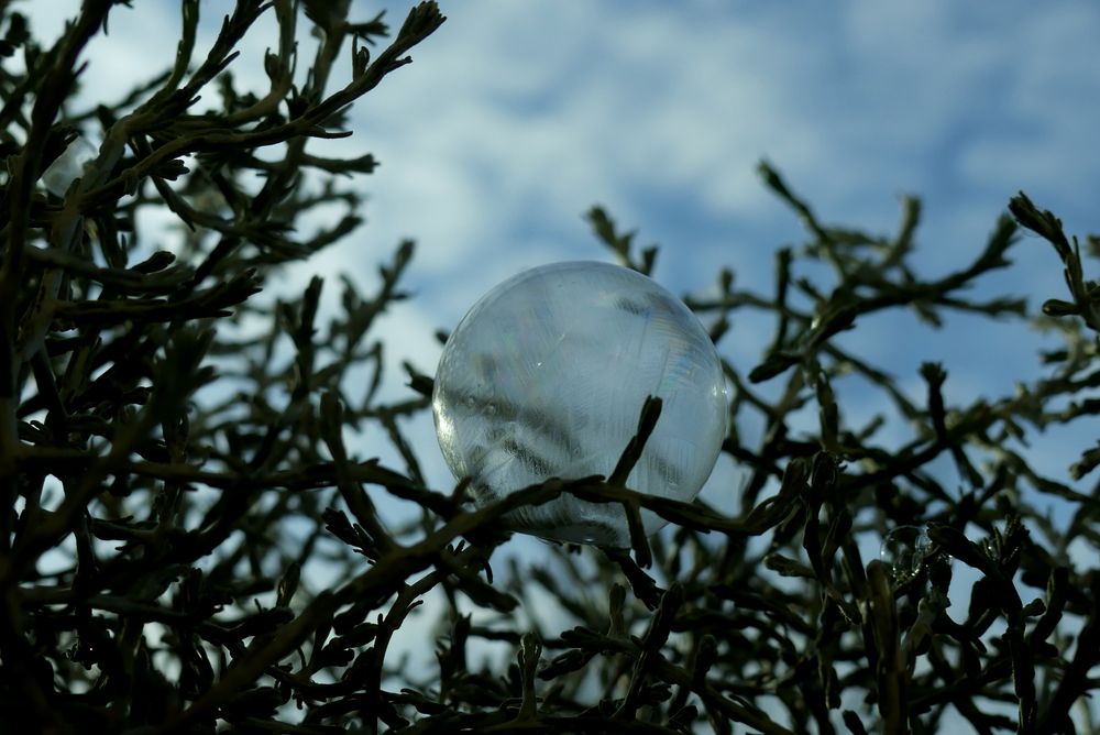 Immer noch eiskalt.... Foto & Bild | winter, natur, frost Bilder auf ...