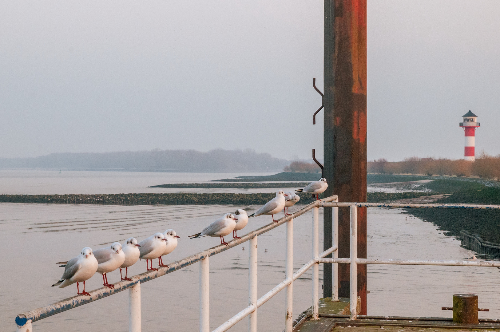 immer Schiffe gucken ist doof Foto & Bild | deutschland, europe ...