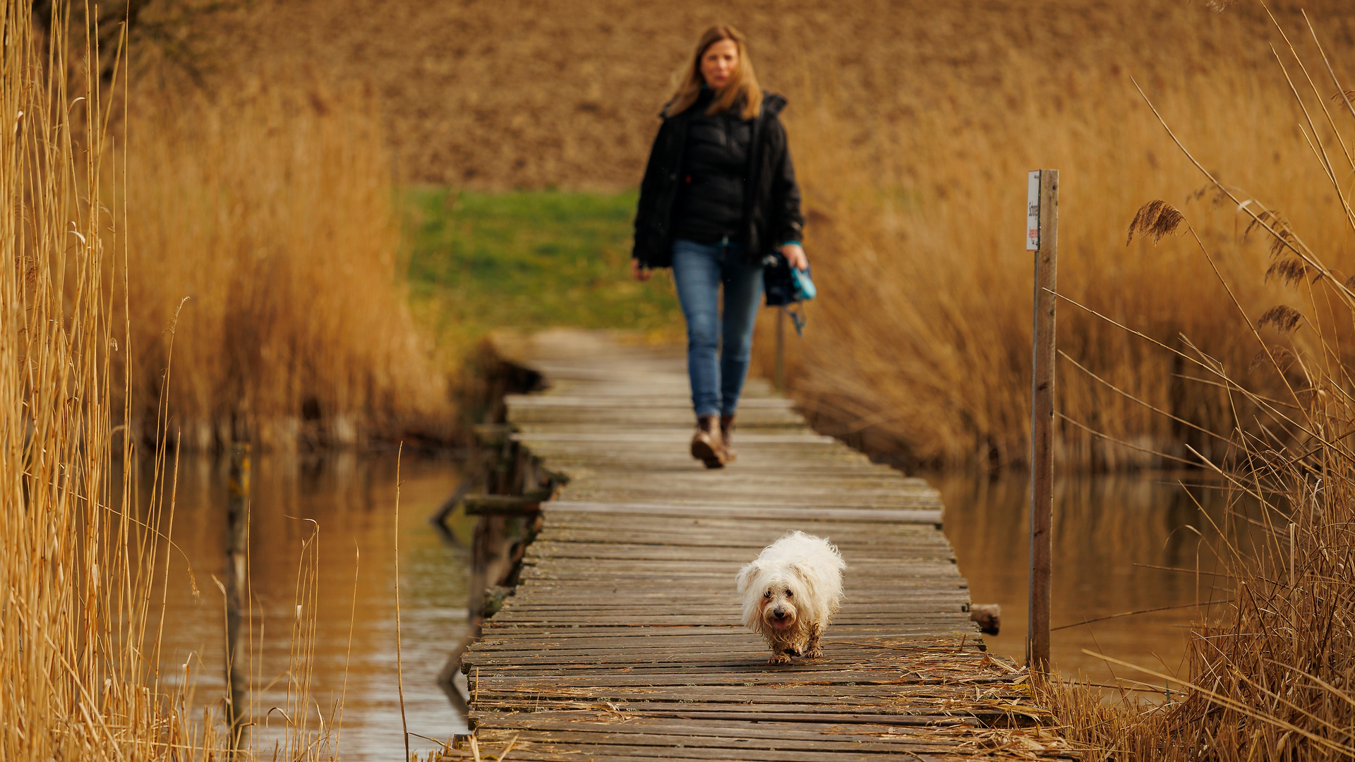 immer voran Foto & Bild | erwachsene menschen, tiere, haustiere Bilder auf fotocommunity