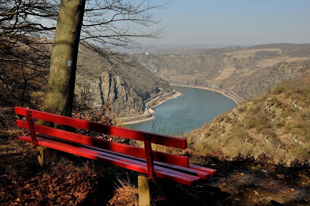 Immer wieder fantastische Blicke ins Rheintal hat. .. Foto & Bild ...