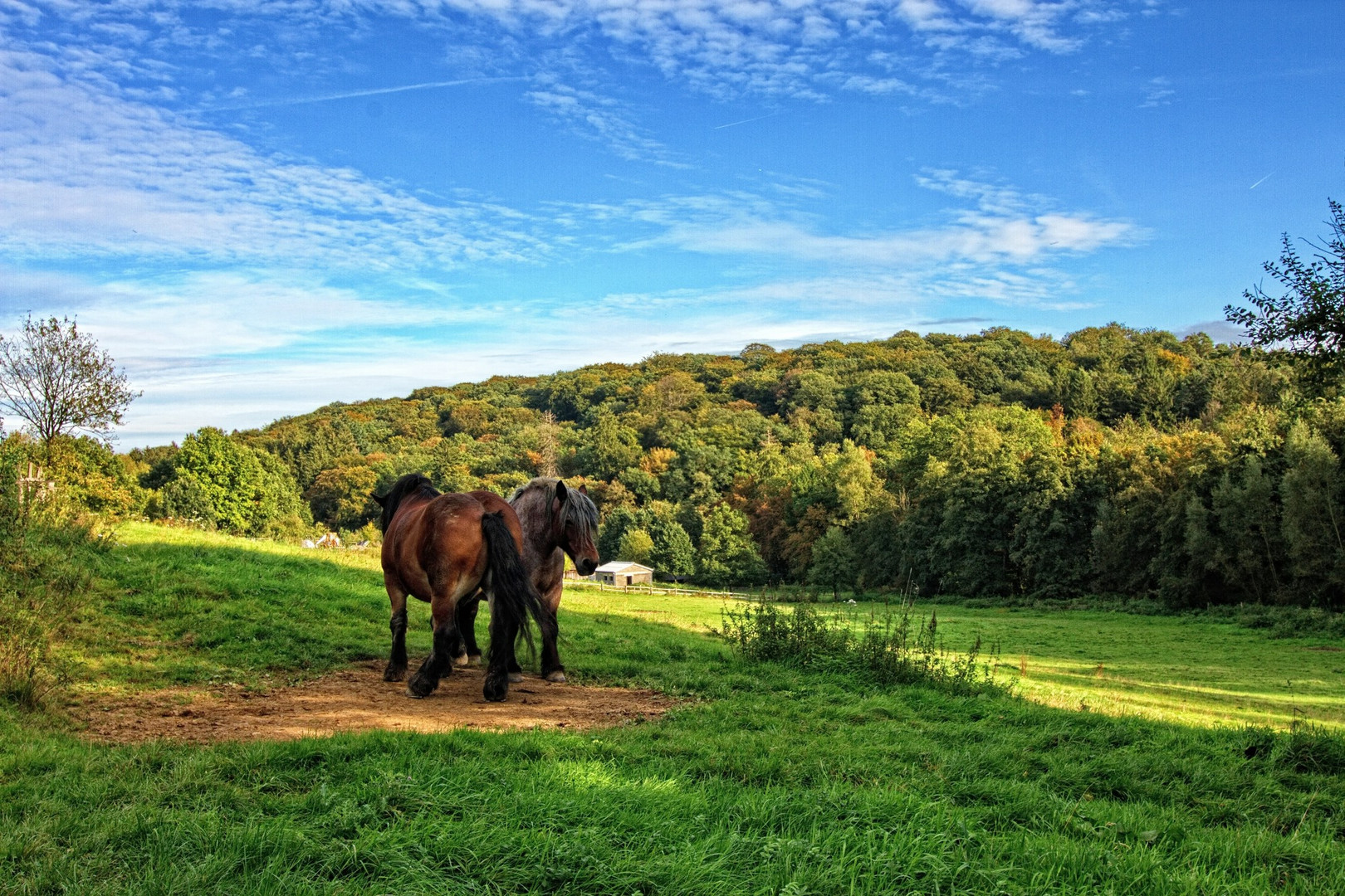 Impression aus dem Freilichtmuseum Lindlar VI Foto & Bild | canon ...