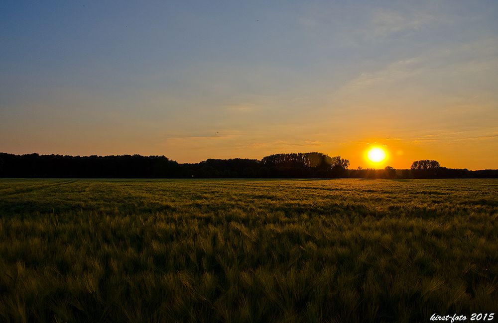 Impression vom abendlichem Münsterland Foto & Bild | landschaft, kulturlandschaften ...