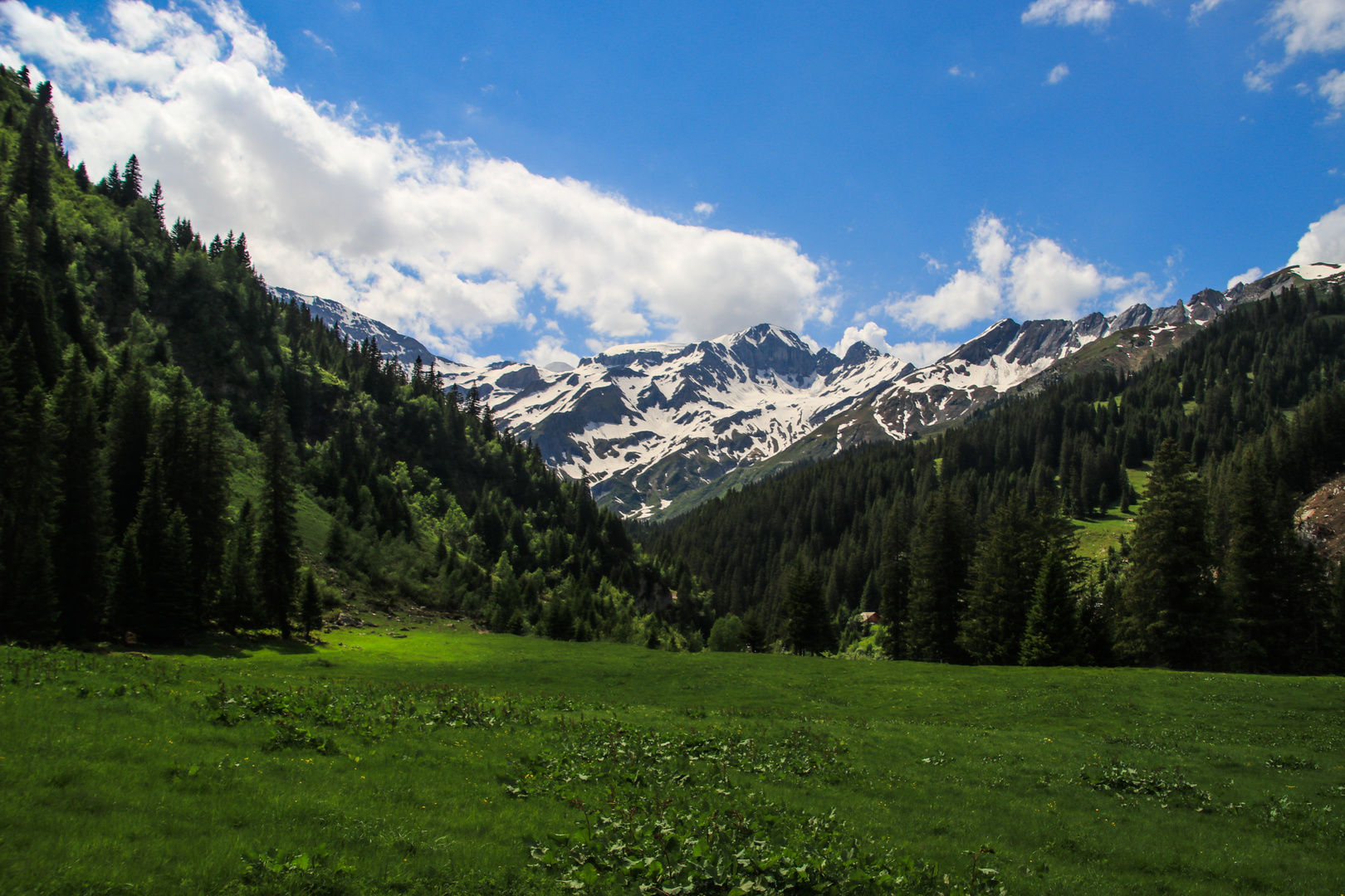 In den Bergen Foto & Bild | fotos, world, wald Bilder auf fotocommunity