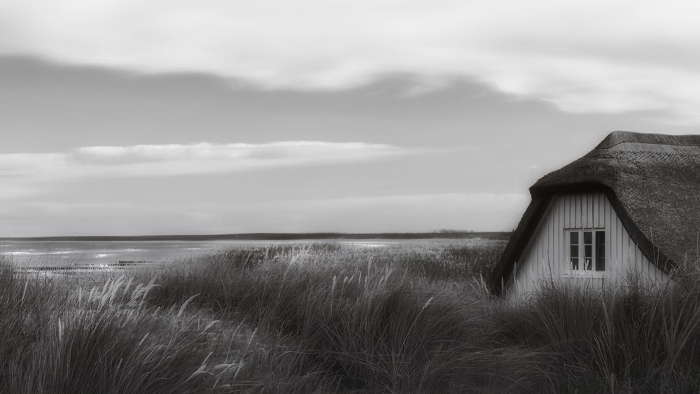 in den Dünen Foto & Bild | fotokunst, monochrome fine art, monochrom Bilder auf fotocommunity