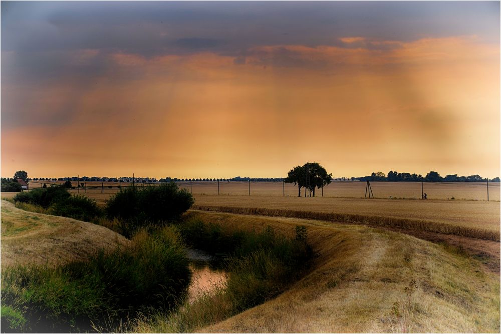 in den Feldern 1 Foto & Bild | himmel, felder, natur Bilder auf ...