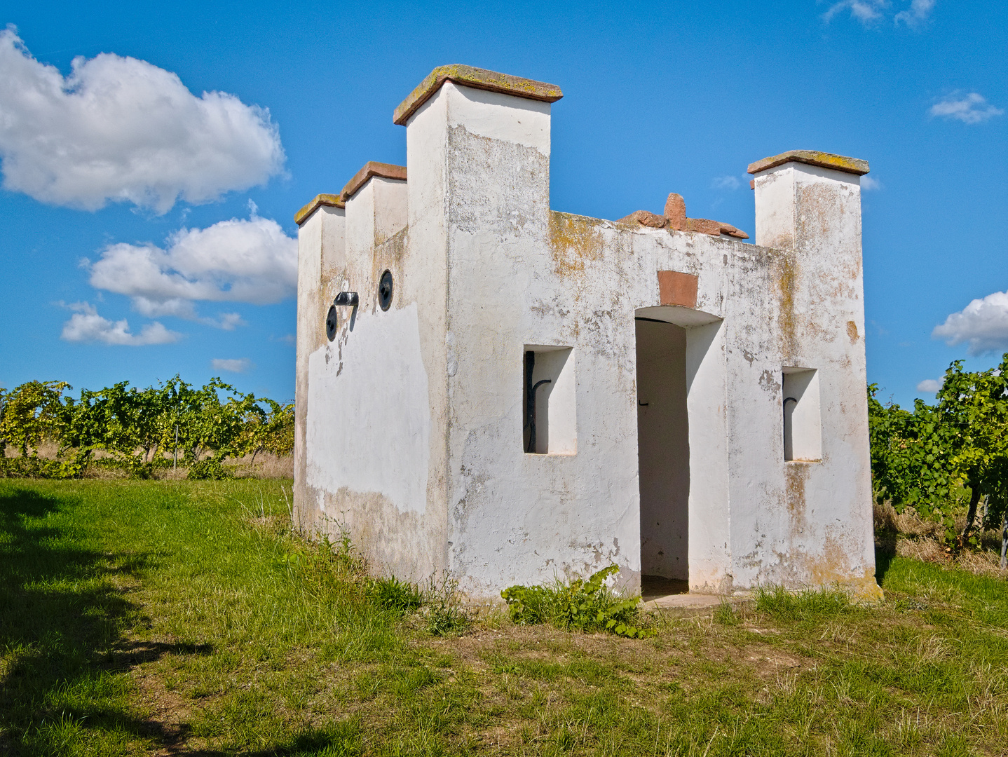 In den Weinbergen von Monsheim Foto & Bild | fotos, natur, landschaft ...