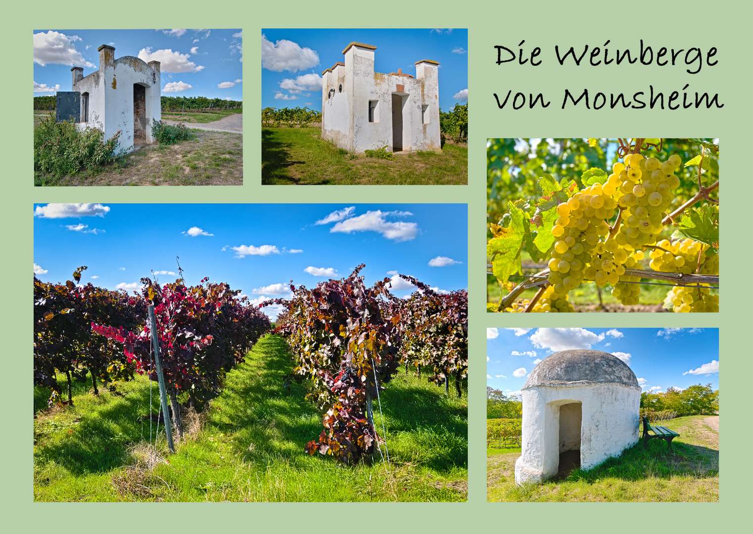 In den Weinbergen von Monsheim Foto & Bild | natur, landschaft ...