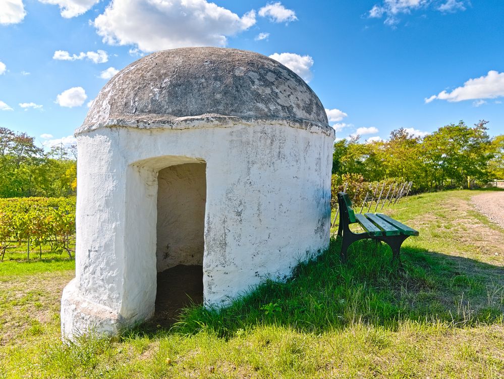 In den Weinbergen von Monsheim Foto & Bild | fotos, natur, landschaft ...