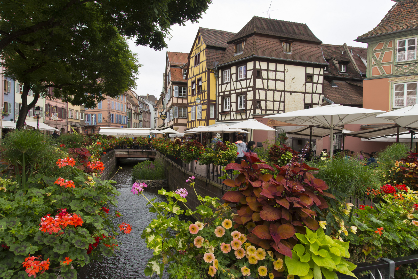 In der Altstadt von Colmar 2 Foto & Bild | frankreich, france, elsass ...