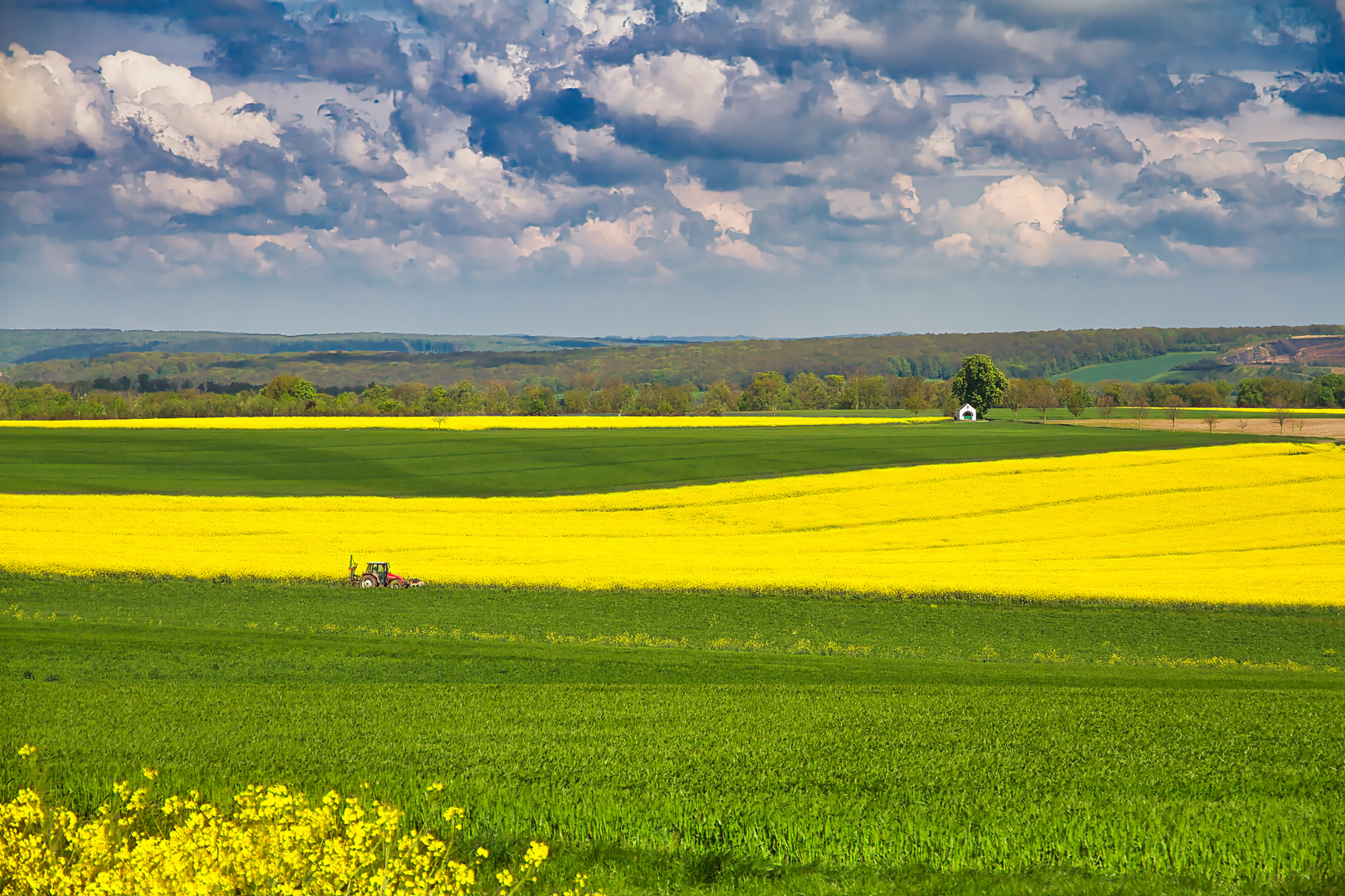 In der Eifel leuchten die Rapsfelder Foto & Bild | landschaft, Äcker ...