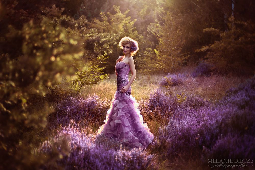 In der Heide... Foto & Bild | fashion, outdoor, frauen Bilder auf ...