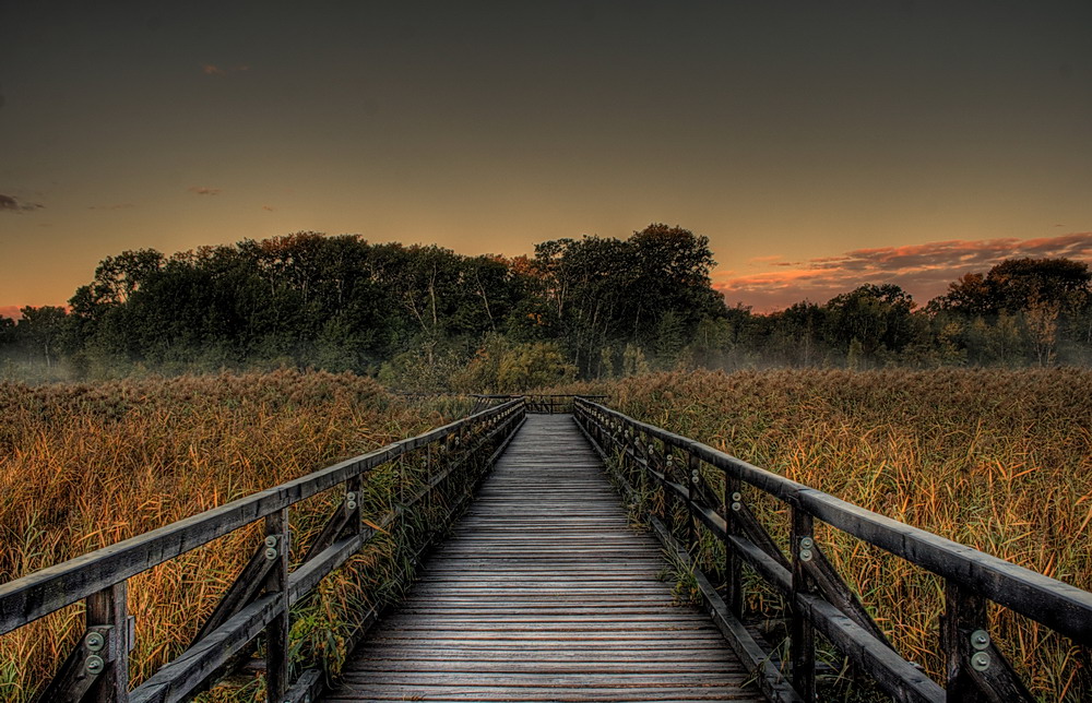 In der Lobau II Foto & Bild | landschaft, lebensräume, landschaften ...