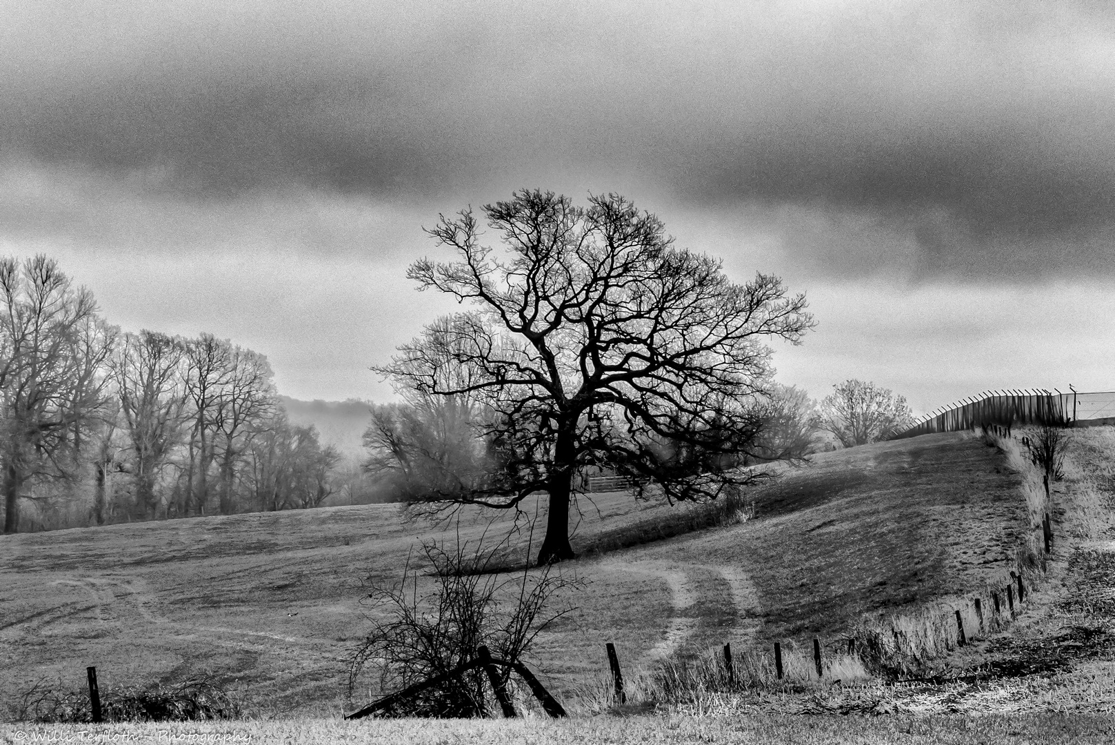 In der Natur Foto & Bild | landschaft, sw-aufnahmen, bäume Bilder auf ...