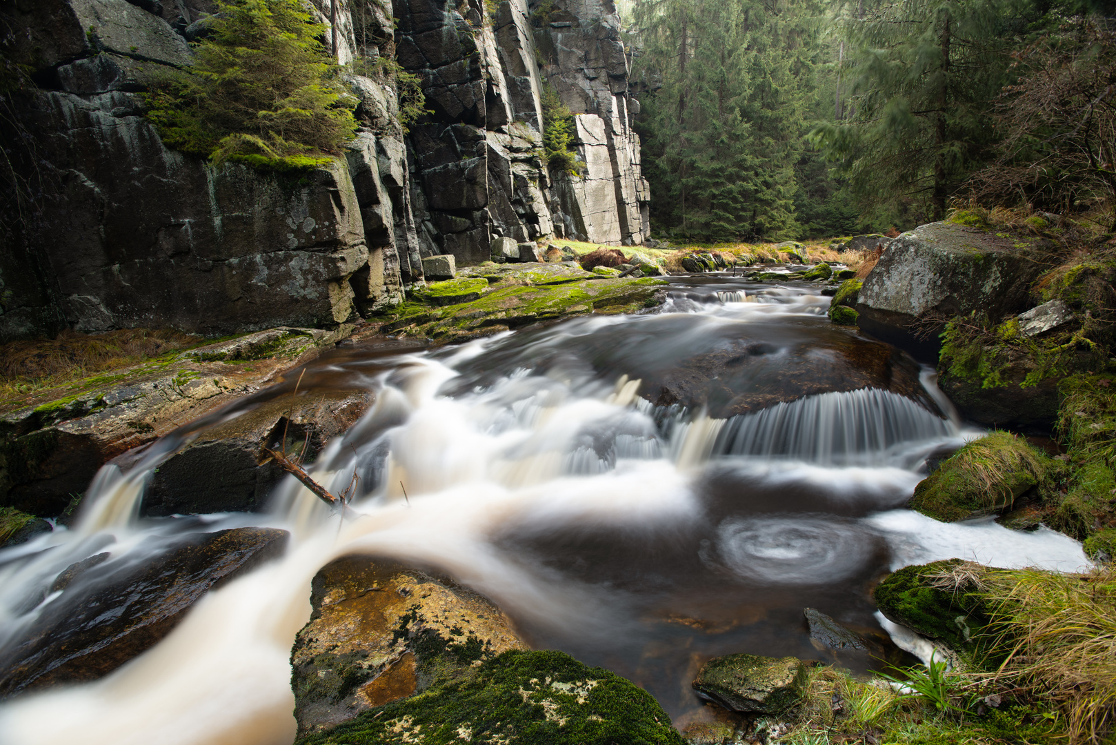 in der Natur..... Foto & Bild | deutschland, europe, sachsen Bilder auf ...