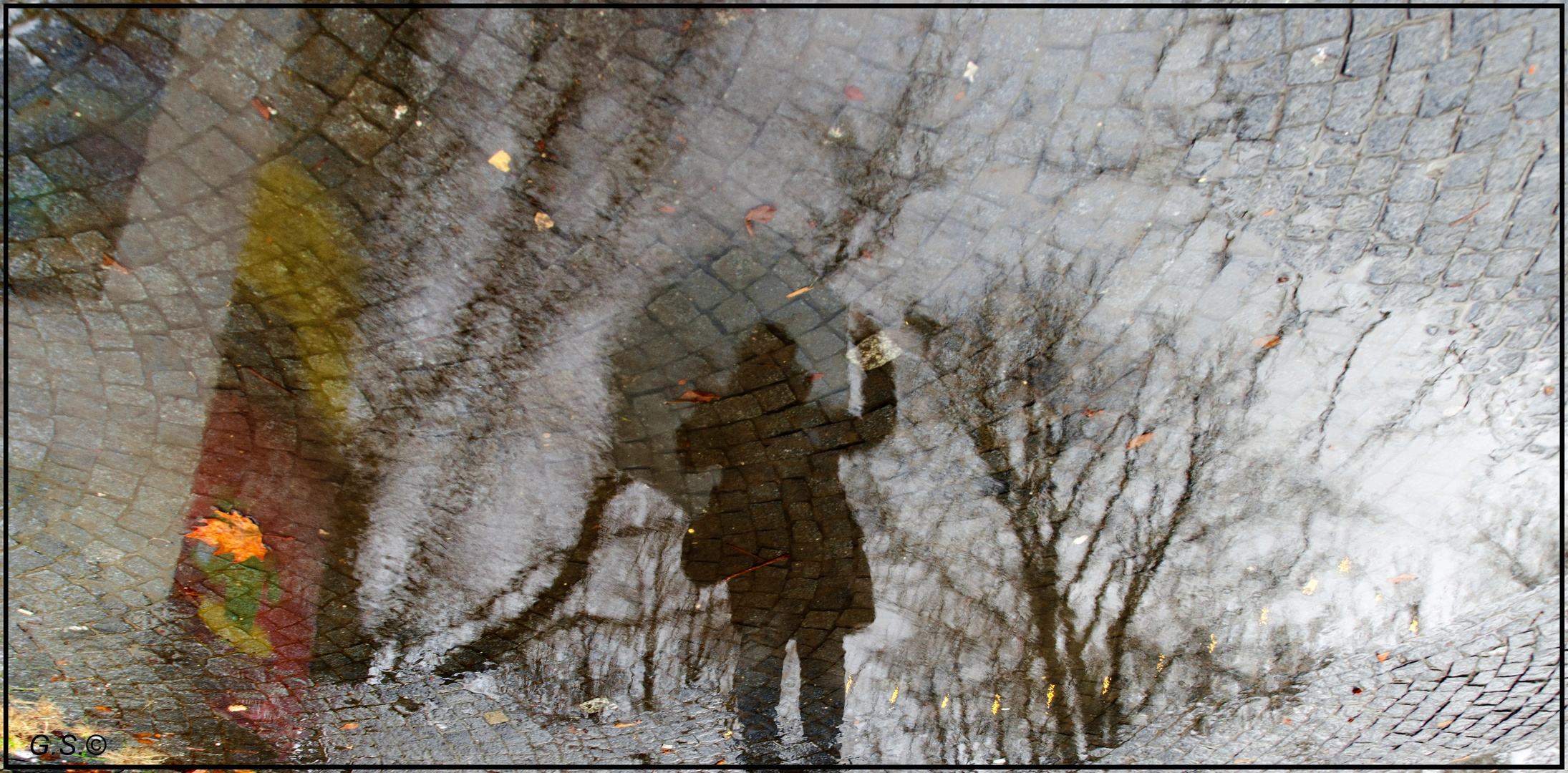 In der Pfütze Foto & Bild | experimente, gespiegelt, spezial Bilder auf fotocommunity