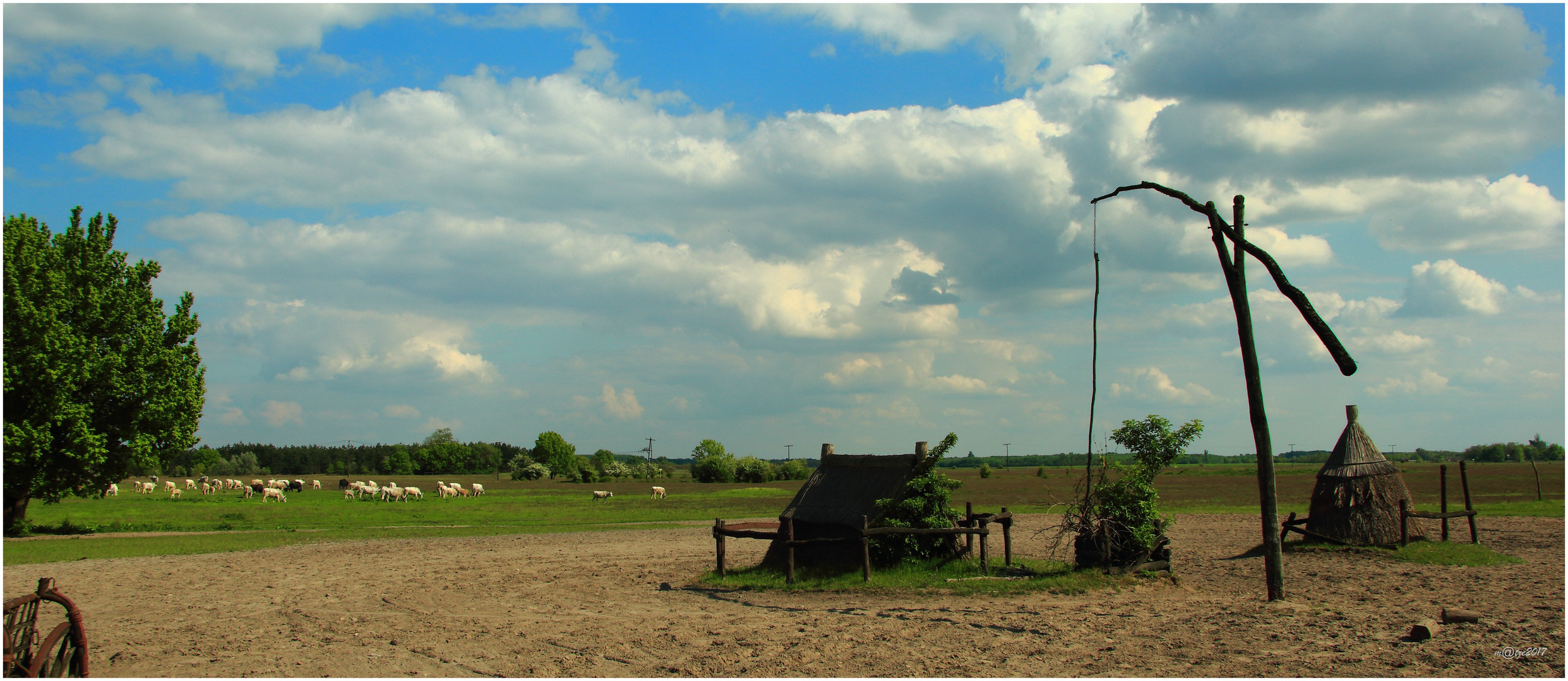 ~ in der Puszta ~ Foto & Bild | ungarn, world, natur Bilder auf ...