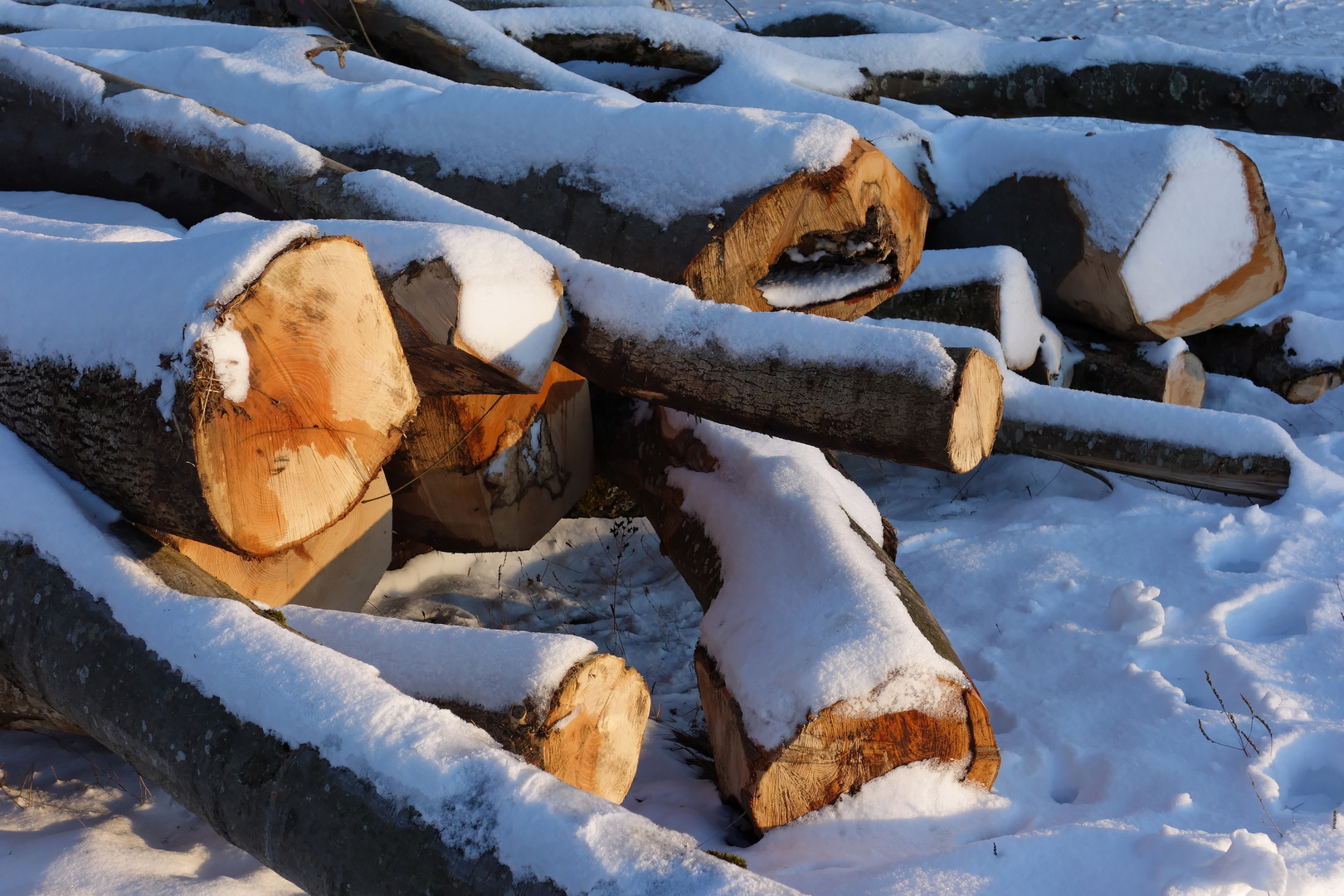 In der Ruhe liegt die Kraft... Foto & Bild | jahreszeiten, winter ...