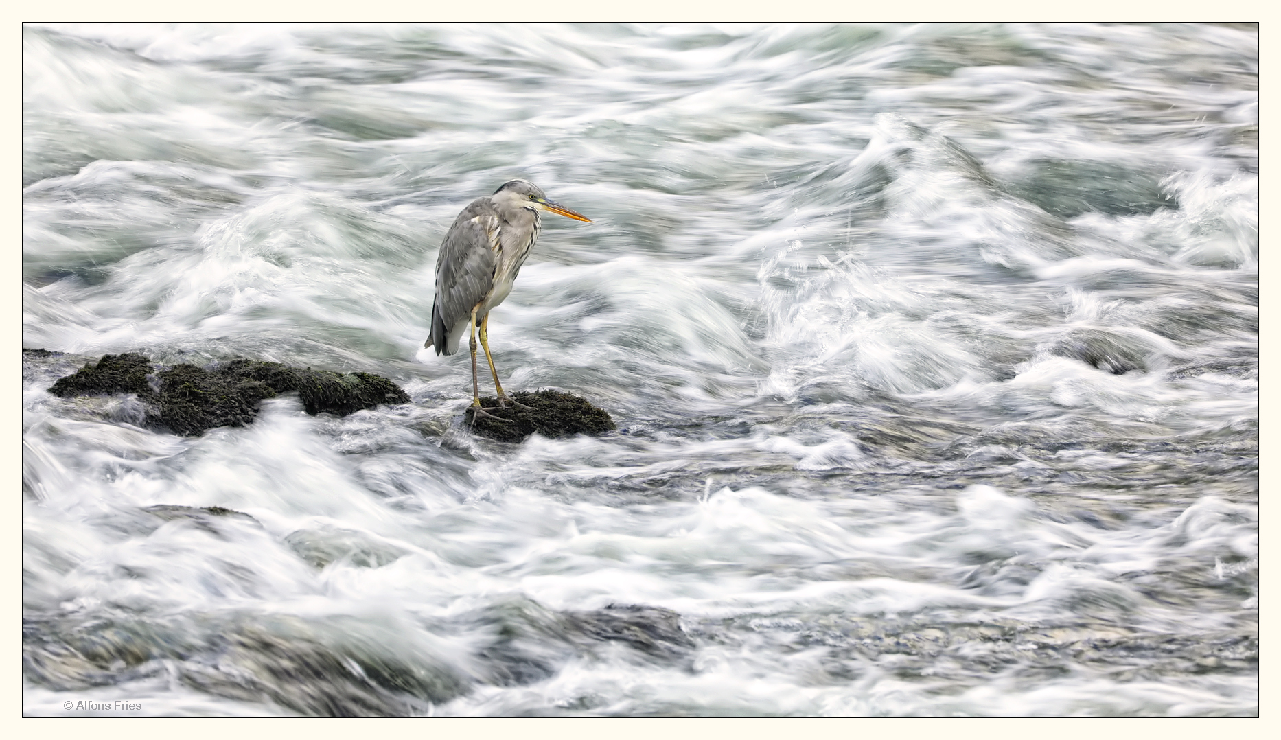 In der Ruhe liegt die Kraft Foto & Bild | outdoor, natur, landschaft ...