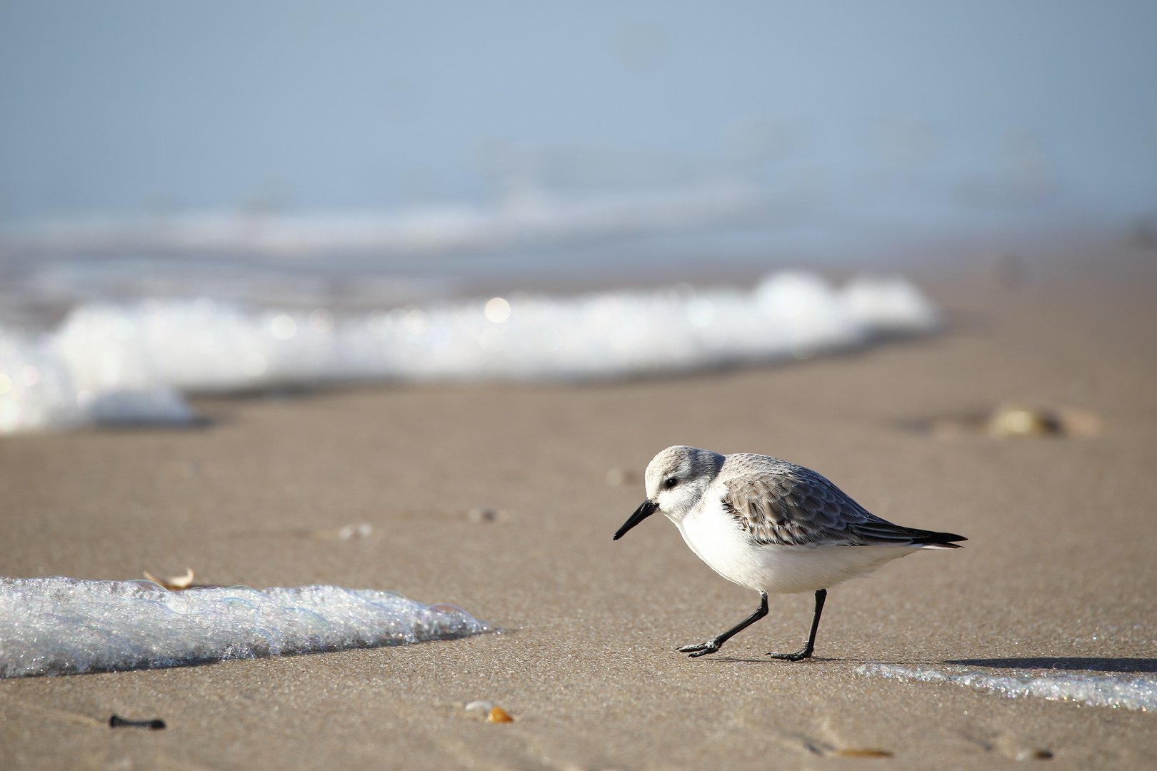In der Ruhe liegt die Kraft.. Foto & Bild | sylt, strand, nordsee ...
