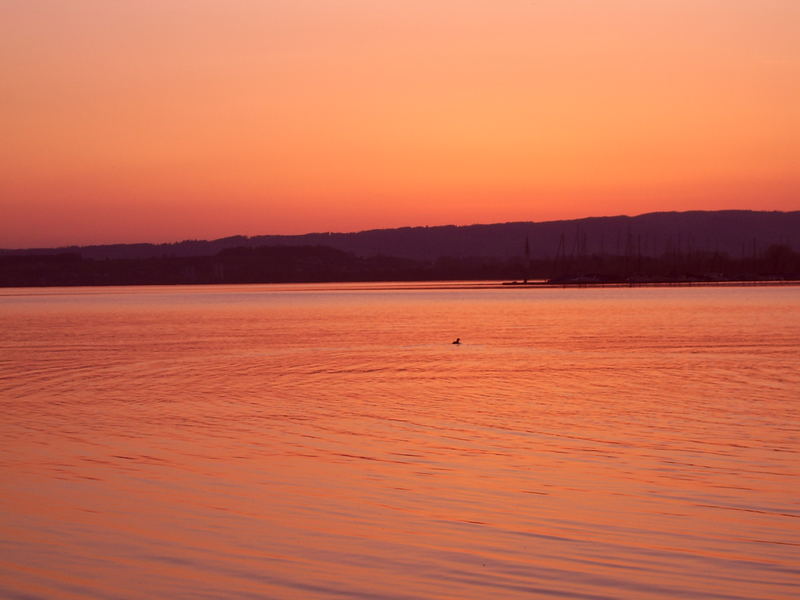 In der Ruhe liegt die Kraft Foto & Bild | landschaft, natur Bilder auf ...