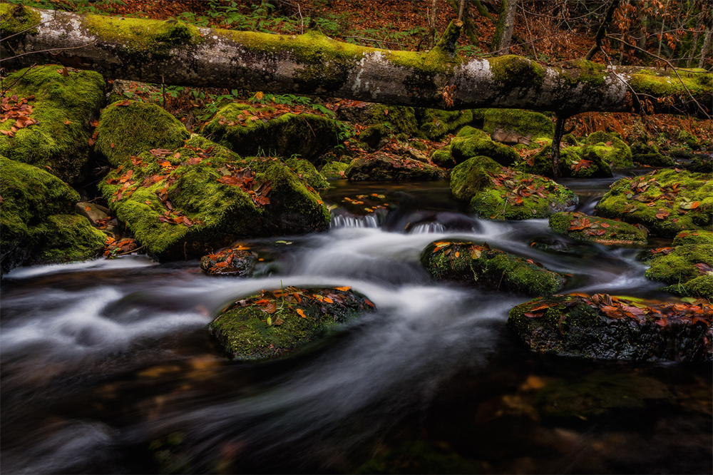 In der Ruhe liegt die Kraft Foto & Bild | water, wasser, natur Bilder ...