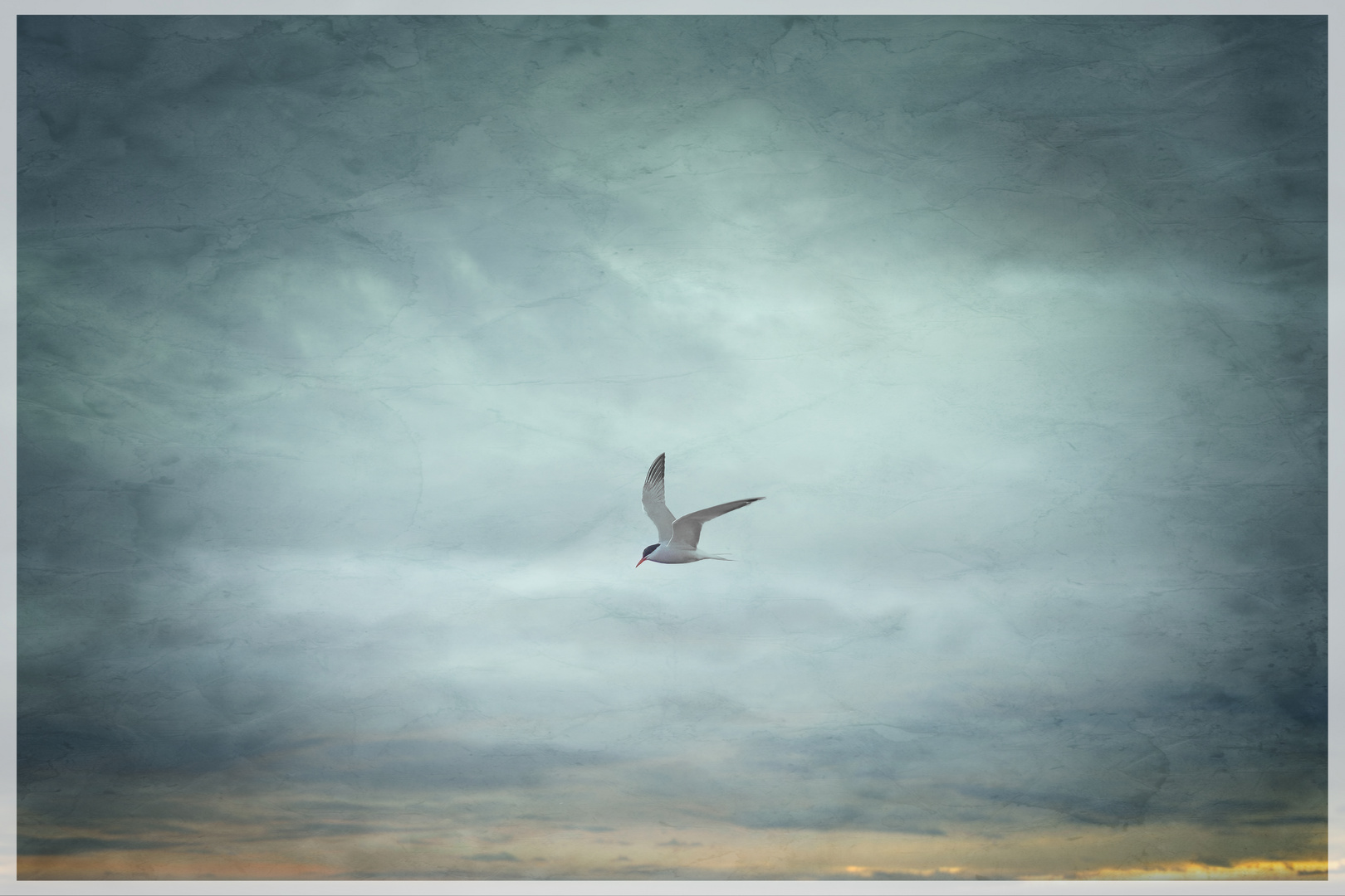 "In der Ruhe liegt die Kraft" Foto & Bild | bearbeitungs - techniken ...