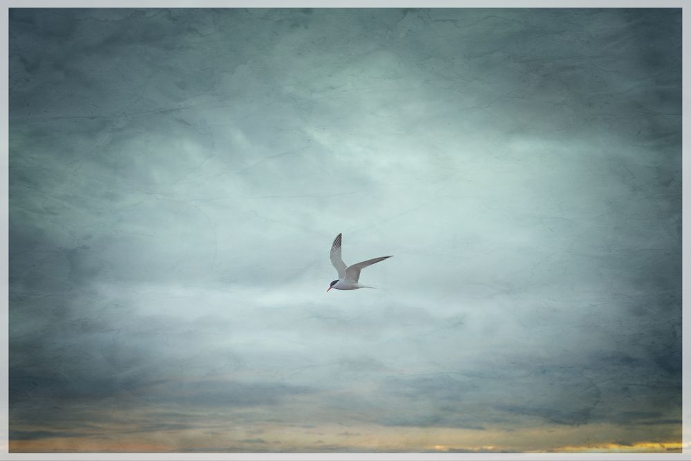 "In der Ruhe liegt die Kraft" Foto & Bild | bearbeitungs - techniken ...