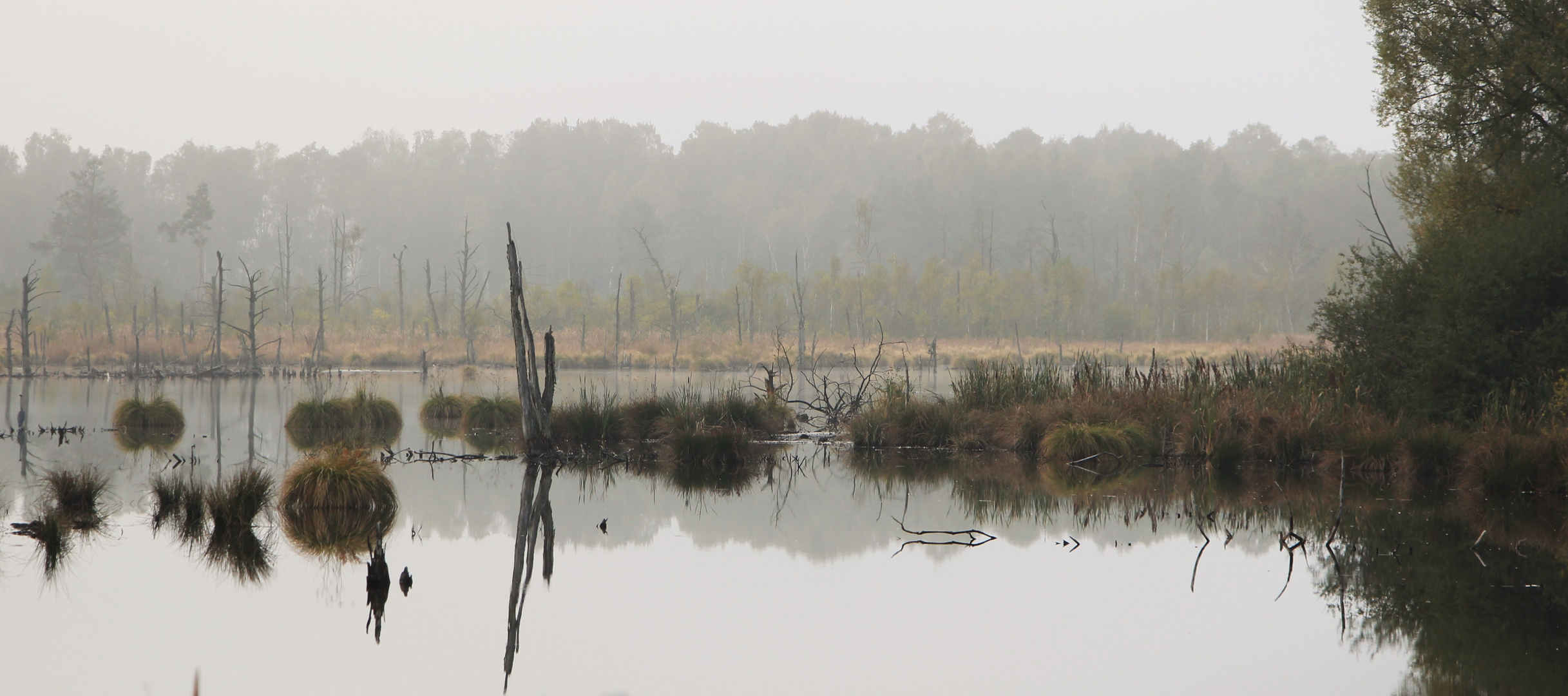 In der Ruhe liegt die Kraft... Foto & Bild | villingen, motive ...