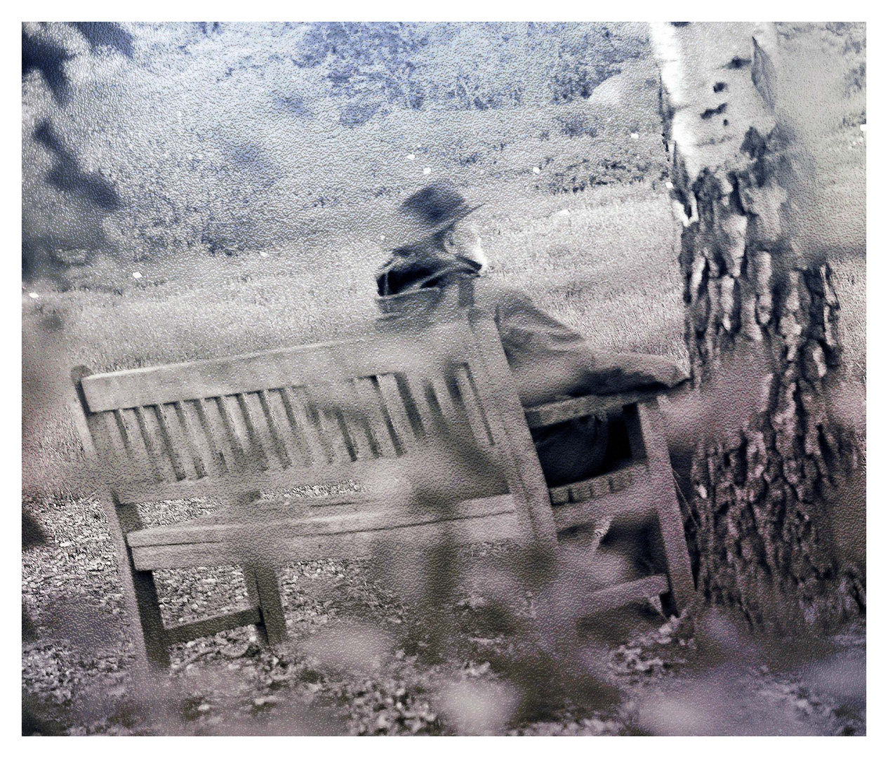 In der Ruhe liegt die Kraft Foto & Bild | spezial, dokumentation, natur ...