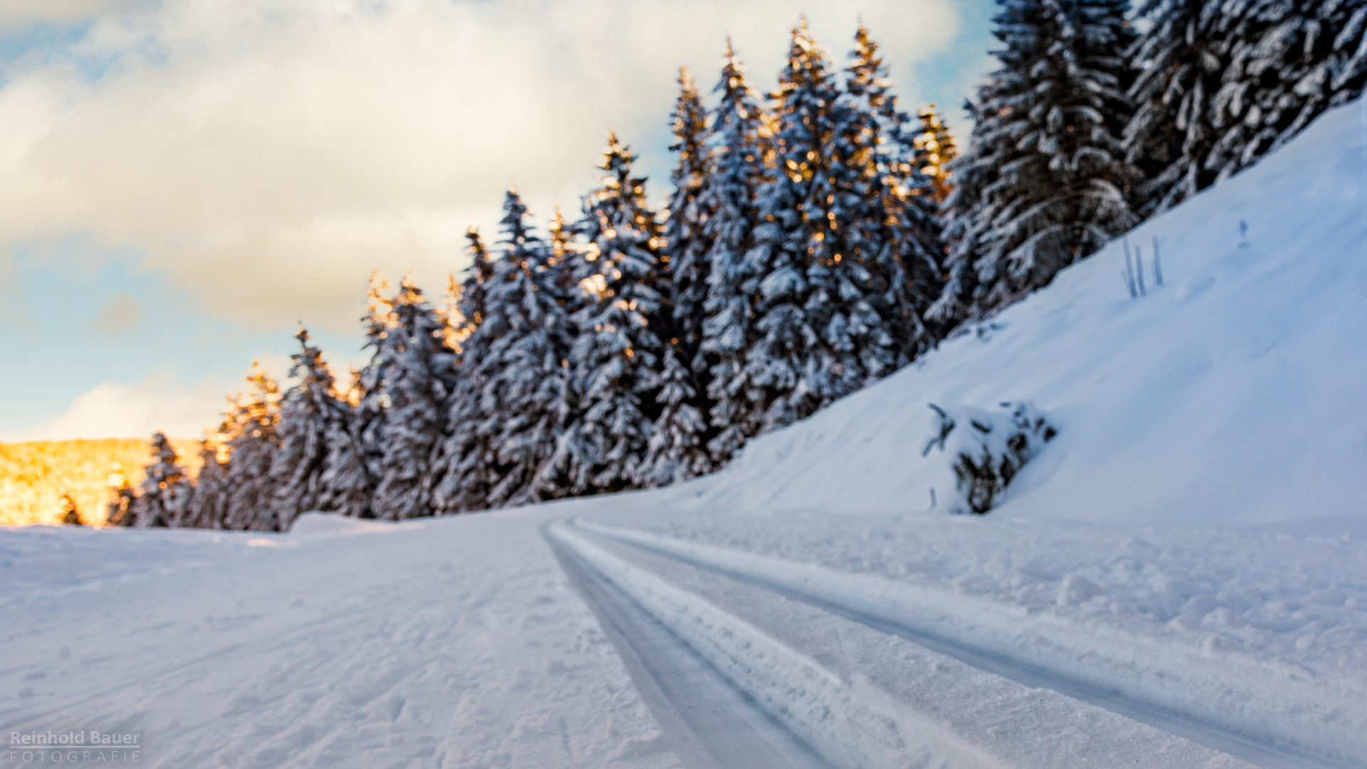 In der Spur Foto & Bild | landschaft, jahreszeiten, winter Bilder auf fotocommunity