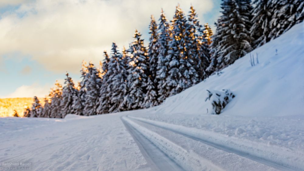 In der Spur Foto & Bild | landschaft, jahreszeiten, winter Bilder auf fotocommunity