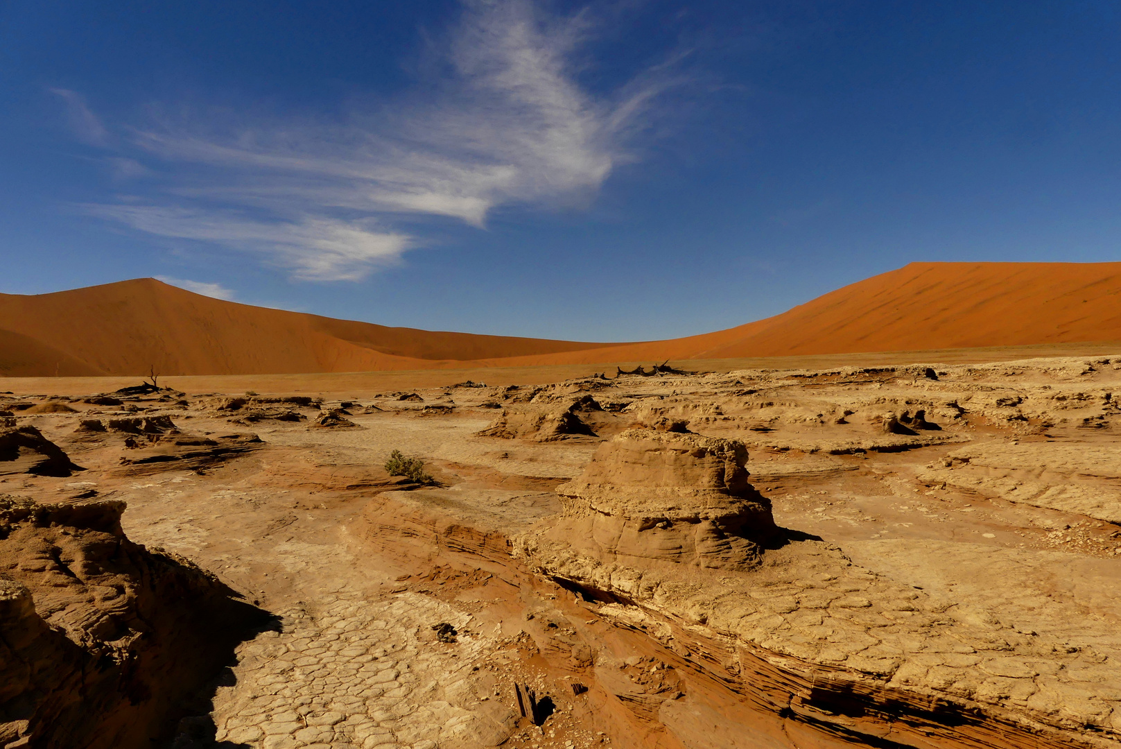 in der Wüste Foto & Bild | africa, southern africa, namibia Bilder auf ...