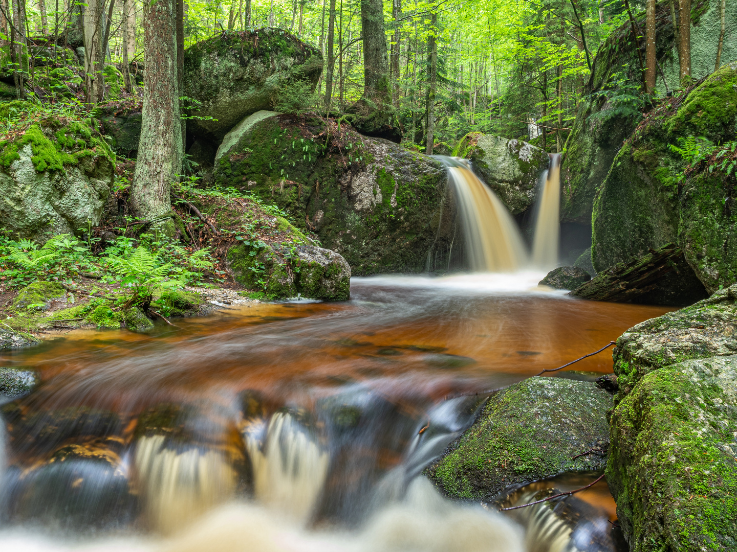 In der Ysperklamm Foto & Bild | outdoor, wasser, natur Bilder auf ...