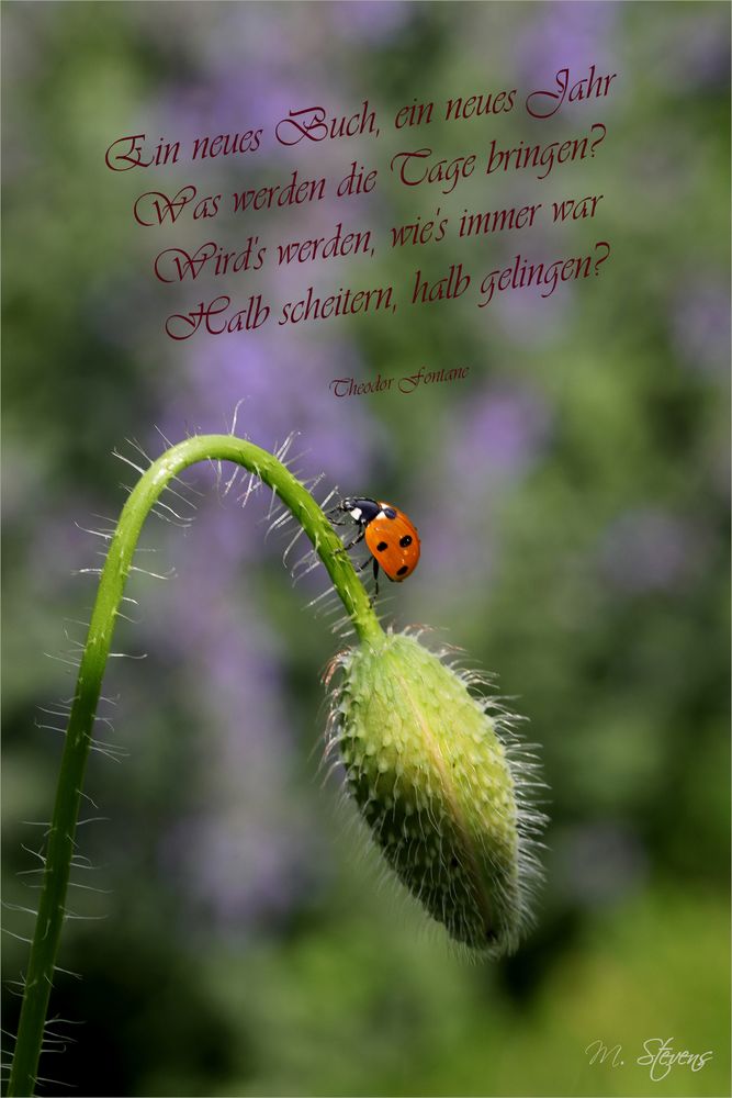 In diesem Sinne Foto & Bild | spezial, makro, natur Bilder auf ...